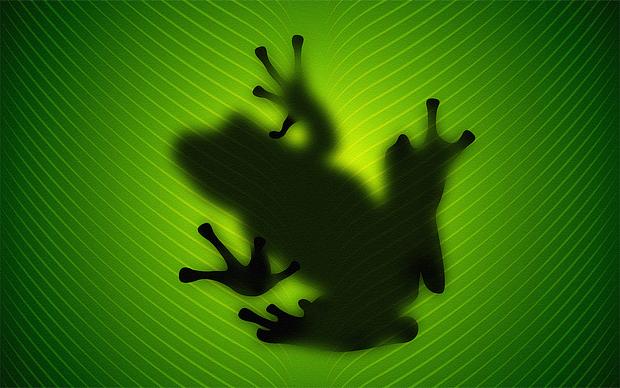 Frog by Anonymous · Wallpapery
